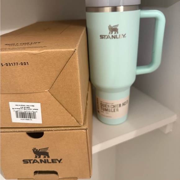 Stanley | Kitchen | Stanley 4oz H20 Mint Green Tumbler | Poshmark